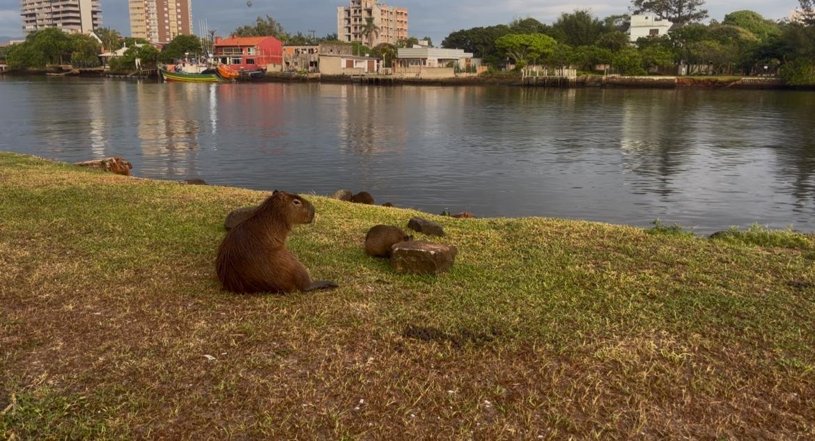 Como é a cidade de Torres no Inverno? Clima, o que fazer e dicas ...